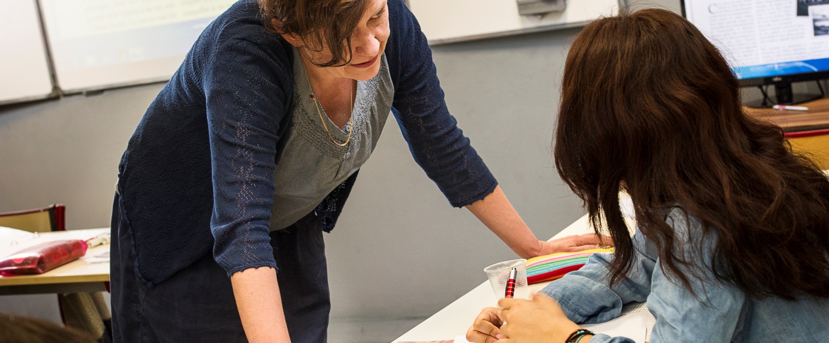 Alliance Française Lyon | Formation pour professeurs de français FLE
